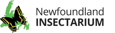 Newfoundland Insectarium